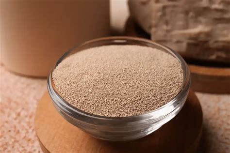 Yeast Extract Delicacies Inspiring New Avenues In Cooking