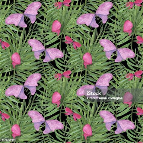 매끄러운 패턴 열대 식물과 나비 수채화는 흰색으로 격리됩니다 수채화 손으로 그린 식물 루스트레이션 곤충에 대한 스톡 벡터 아트 및 기타 이미지 Istock