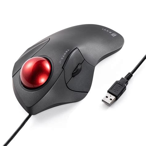 Computer Trackball