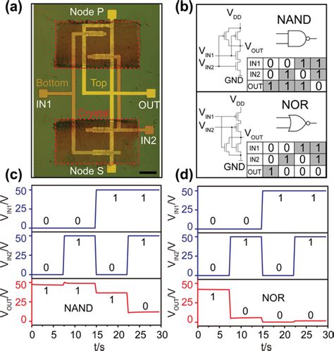 A An OM Image Of The Dualfunctional Logic Gate Based On Ambipolar