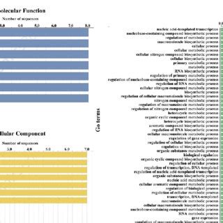 Information From Gene Ontology GO Annotations A Molecular Function Download Scientific