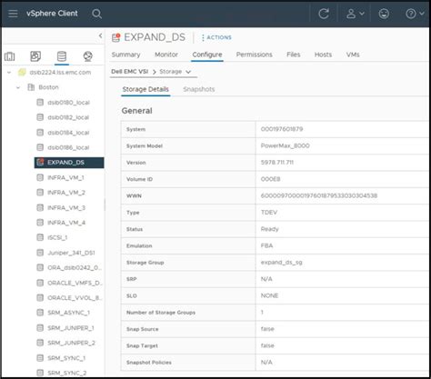 Growing Vmfs In Vmware Vsphere Dell Powermax And Vmware Vsphere