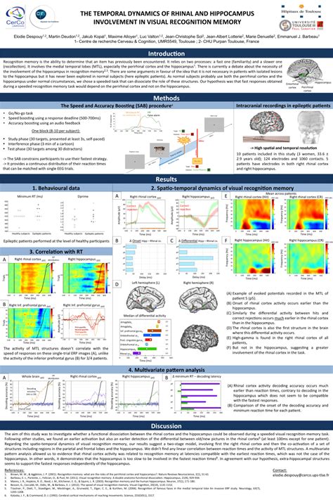 Pdf The Temporal Dynamics Of Rhinal And Hippocampus Involvement In Visual Recognition Memory
