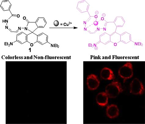 Fluorescent Probe For Copper Ii Ion Based On A Rhodamine Spirolactame Derivative And Its