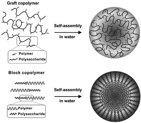 Graft And Block Copolymers Self Assembly Download Scientific Diagram