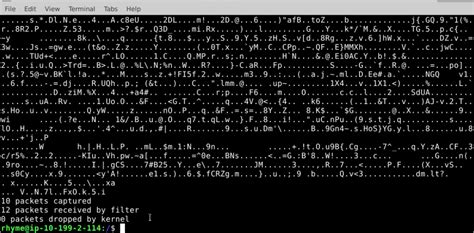 Analyzing Network Traffic With Tcpdump Oh And Wireshark Too A Coursera Project By Welcome