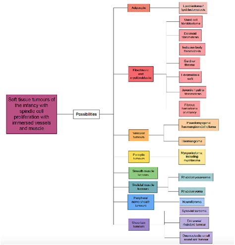 Algorithm According To Oms Classification For Soft Tissue Tumors Of Download Scientific