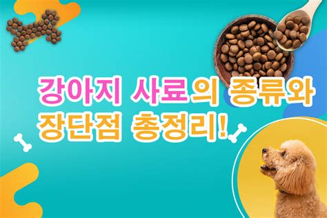 강아지 사료의 종류 9가지 및 장단점 총정리 생활 속 좋은 정보 모굿인