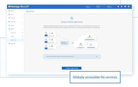 Netapp Bluexp Data Estate Operations Made Simple