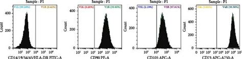The Characterization Of Bmscs A Bmscs Were Positive For Cd73 Cd90
