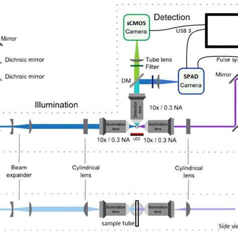 Schematic Of The Light Sheet Flim Microscope Adapted From 36 A Download Scientific