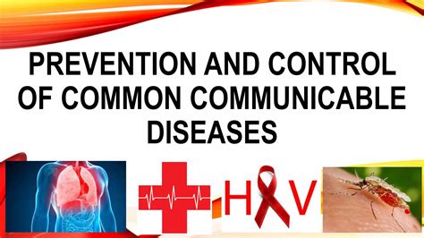 Prevention And Control Of Common Communicable Diseases Pptx