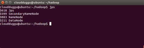 Apache Hadoop Installation On Single Node Tutorial Cloudduggu