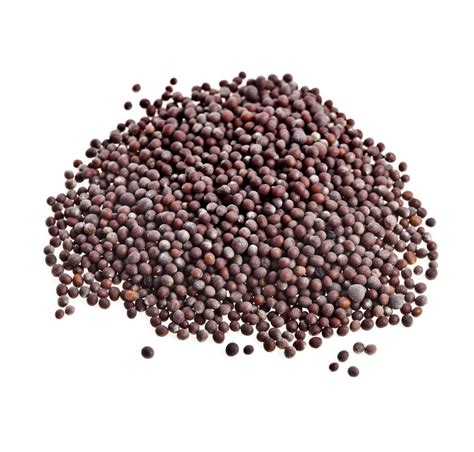 Biji Sawi Mustard Seed Fresh Groceries Delivery Redtick