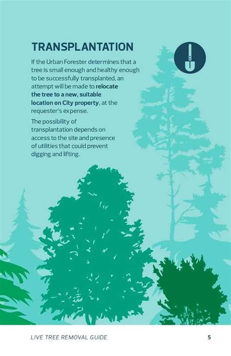 Tree Removal Guidelines City Of Edmonton Bucketduck Inc