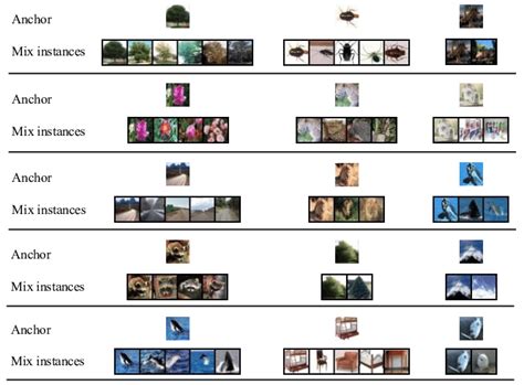 Visualization Of Samples Mixing On Cifar 100 Download Scientific Diagram