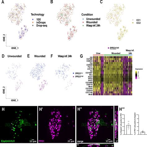 Figures And Data In A Single Cell Survey Of Drosophila Blood ELife