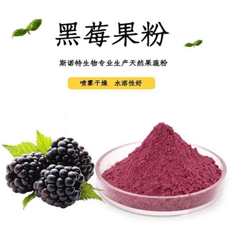 黑莓粉 黑莓提取物 斯诺特现货 西安 西安斯诺特 食品商务网