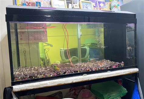 ตู้ปลาสวยงาม ขนาด 48 นิ้ว หนา 6 มิลลิเมตร Ennxo