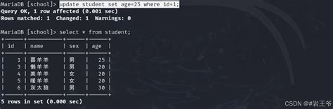 Nodejs使用mysql2对接数据库nodejs Mysql2 Csdn博客