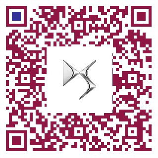 DS QR Code
