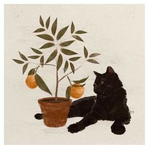 عکس های جدید و دیدنی برای بک گراند گوشی و پروفایل