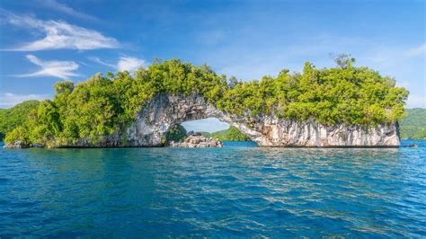 Palau Islands Yacht Charter Tww Yachts
