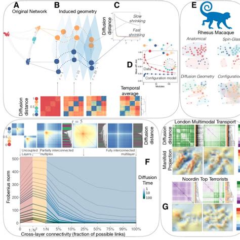 Multiscale Unfolding Of Networks Structure And Function By Geometric Download Scientific