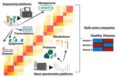 Multi Omics Analysis Reveals The Panoramic Picture Of
