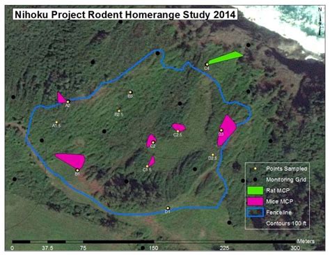 minimum convex polygons depicting approximate rodent home range sizes download scientific