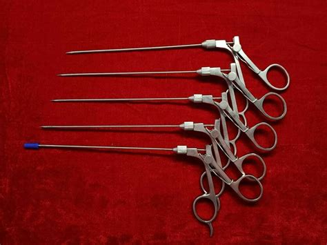 Zygomaticofrontal Suture Ct