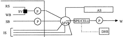 Schematic Diagram Of The Flow Injection Manifold Used For Immunoassays Download Scientific
