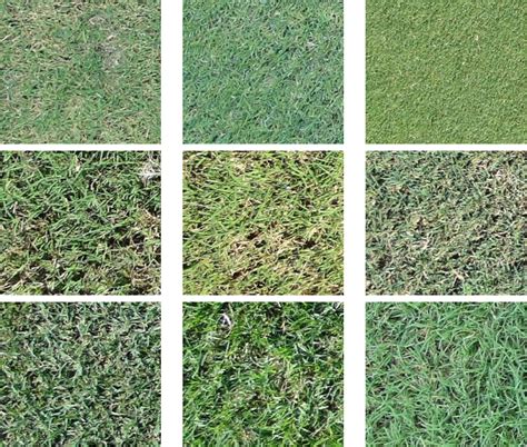 Figure 1 From Evaluation Of Convolutional Neural Networks For Herbicide