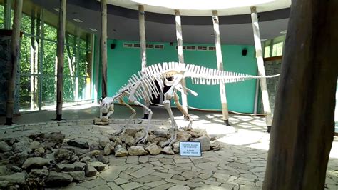 დინოზავრის ჩონჩხი სათაფლიაზე Youtube