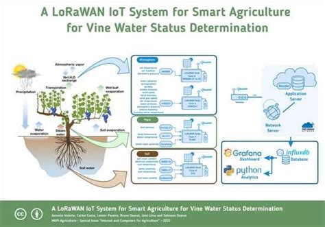 A Lorawan Iot System For Smart Agriculture For Vine Water Status