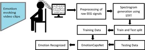 The Overall Workflow Of Proposed System For Eeg Based Er Download