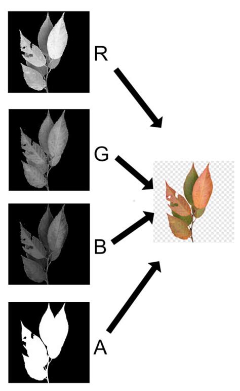 イメージの構成要素RGBAとは Shade D Knowledge Base
