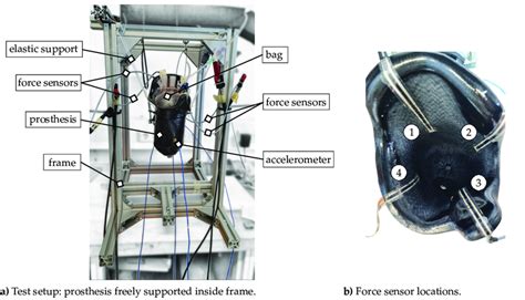 Test Setup For Experimental Analysis Of The Prosthesis Socket