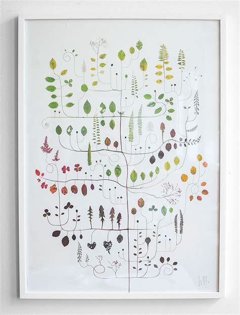 Poster Beech Tree Artofit