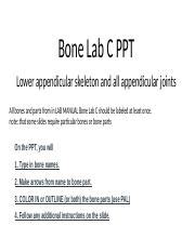 Laboratory Exercise Bone Lab C PPT Course Hero