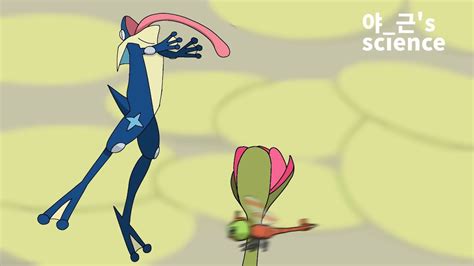 개구리 사냥 성공률은 그리 높지 않아 보입니다 [포켓몬 유나이트] Youtube