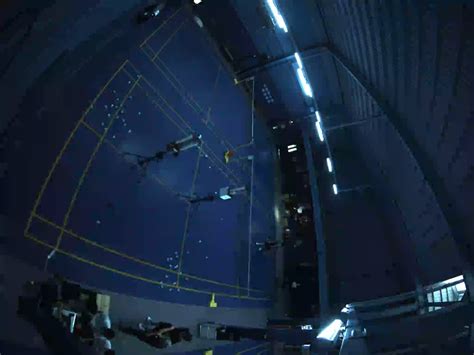 Player Object Detection Dataset And Pre Trained Model By Lillian