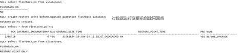 成为mysql dba后，再看oracle数据库（十一、闪回技术） 海布里 mysql 博客园