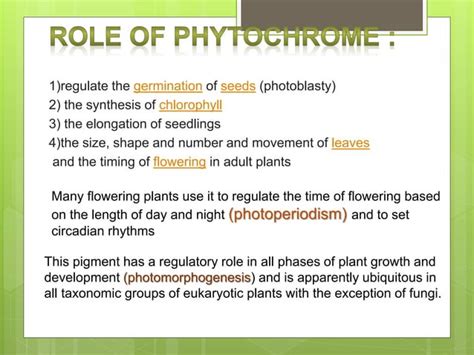 Phytochrome Structure And Function By Nour Deeb Pptx