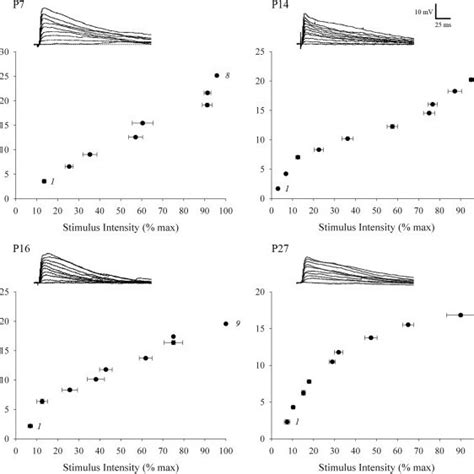 Retinal Convergence Onto Dorsal Lateral Geniculate Nucleus Dlgn