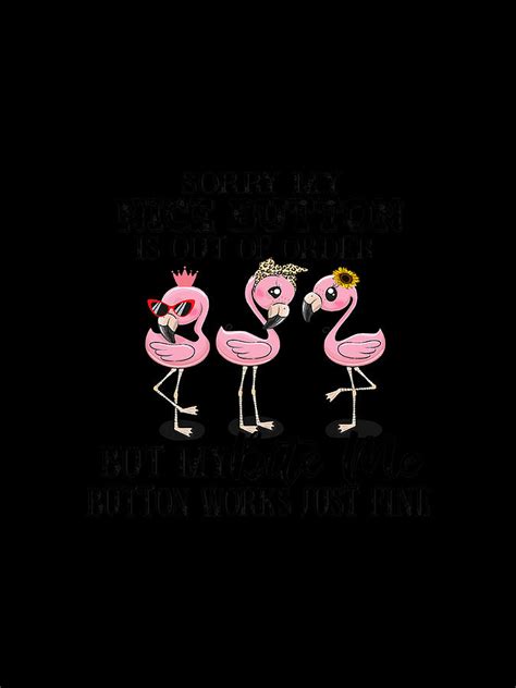 Sorry My Nice Button Is Out Of Order But My Bite Me Button Digital Art