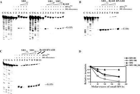 toeprinting analysis ternary complex formation upon addition of download scientific diagram