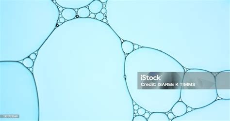 물 창조적 인 예술 이미지와 패턴에 추상 오일 방울 0명에 대한 스톡 사진 및 기타 이미지 0명 개념 광학 작용 Istock