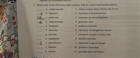 Solved Match Each Of The Following Organ Systems With Its Chegg