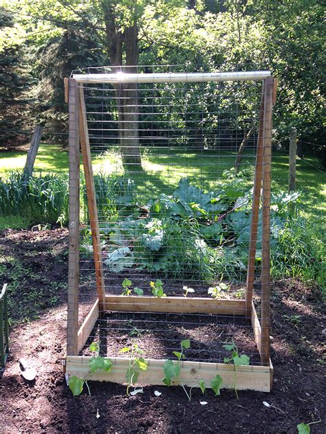 Make A Cucumber Trellis Out Of Scrap Wood Hobby Farms